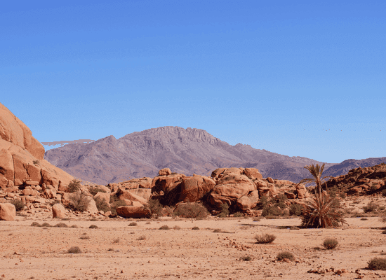 Sahara Astrophotography The Invisible 2026 Guide to the Maïder Plateau